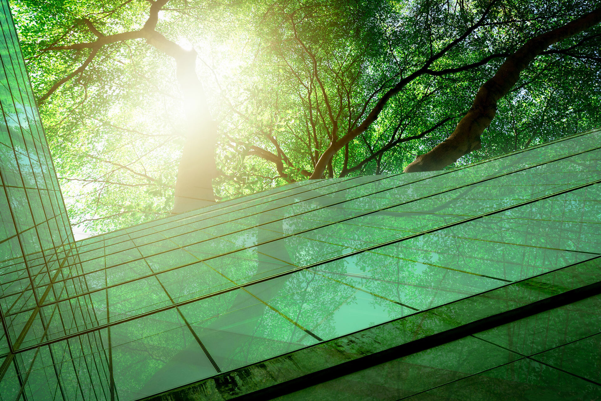 Premium Air Filters – A Good Investment for Businesses | R.P. Fedder